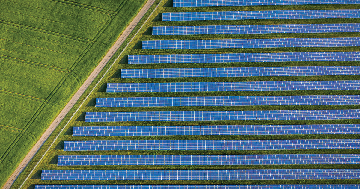 Shining Bright: How Solar Farms Light up Our Future - RELA